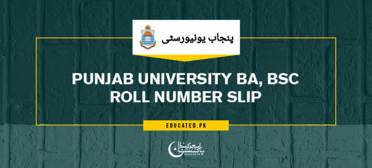 Punjab University Roll No Slip 2025 BA, BSc, B.Com & MA, MSc